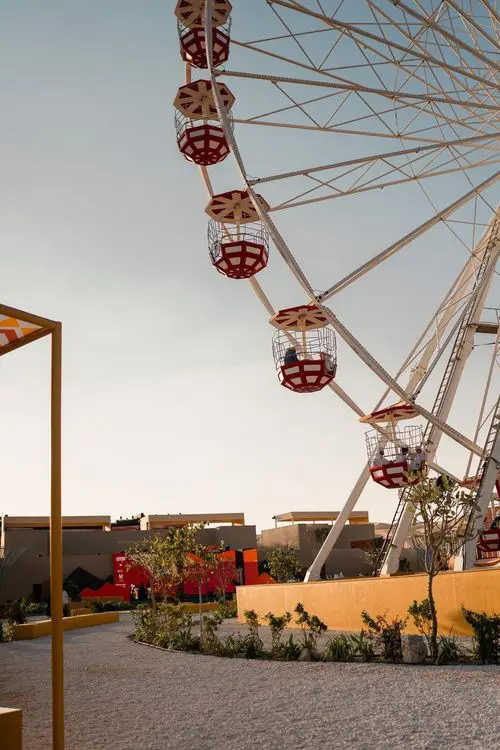 5 Must-Do Experiences To Kick Off 2025 At Liwa Festival - The Sandy Times