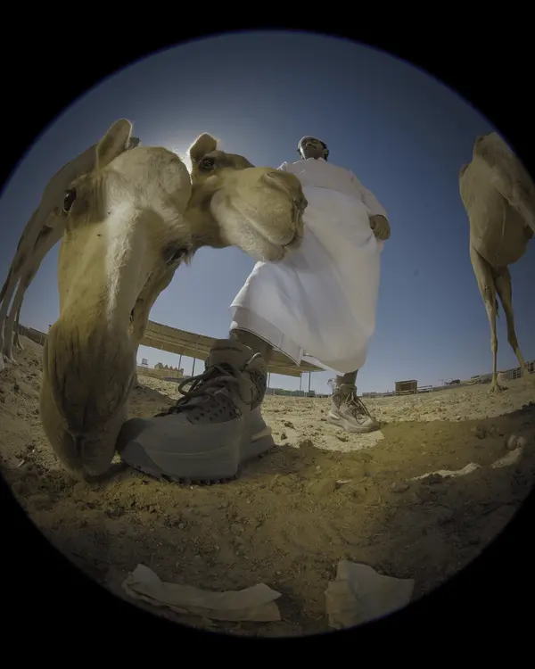 Omar Almahri on Passion, Photography & Finding His Path - The Sandy Times