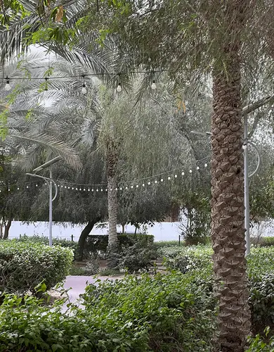 Living in JVC Dubai: Guide to Jumeirah Village Circle 2025 - The Sandy ...